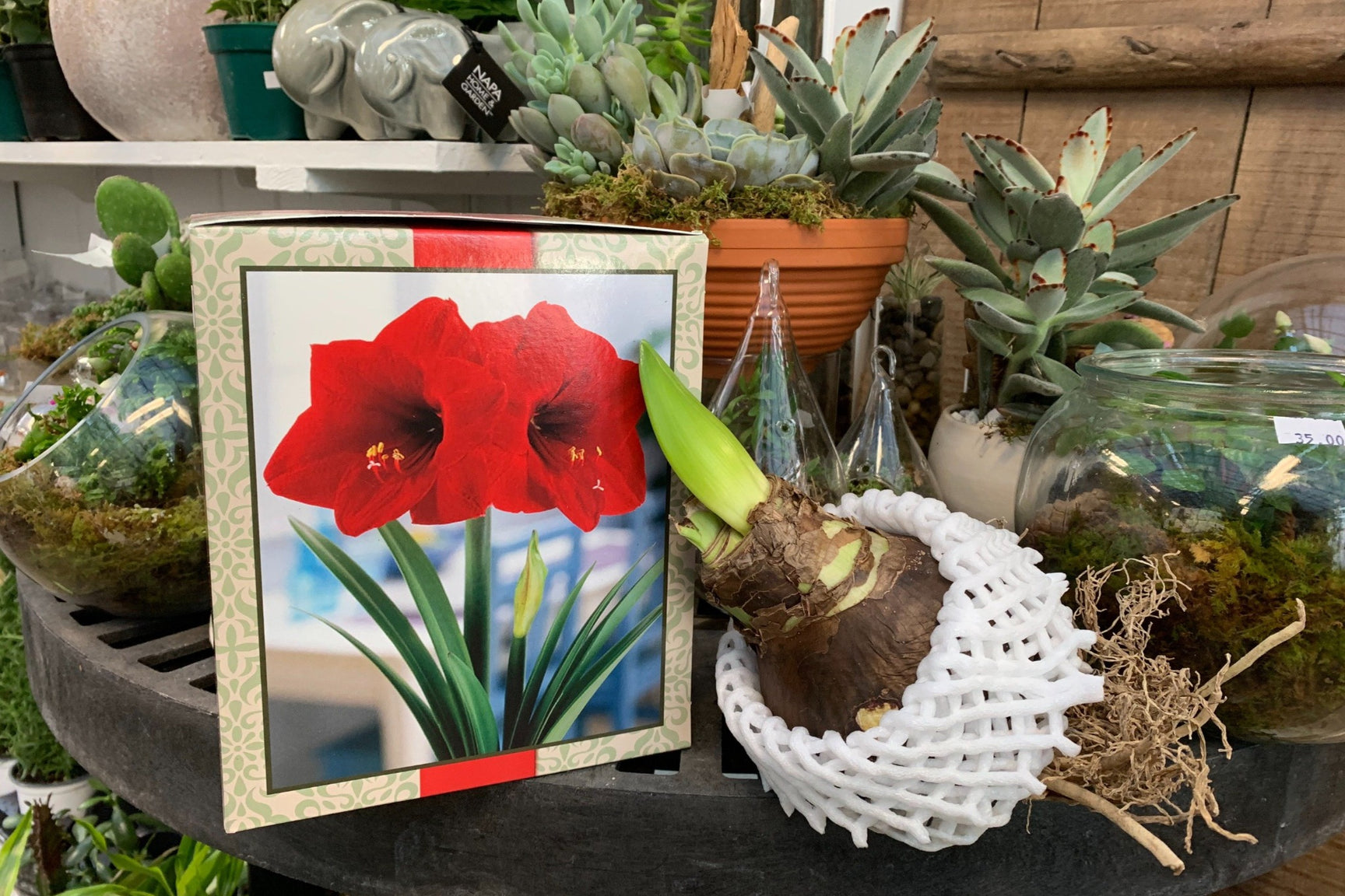 Products – Madison Flower Shop