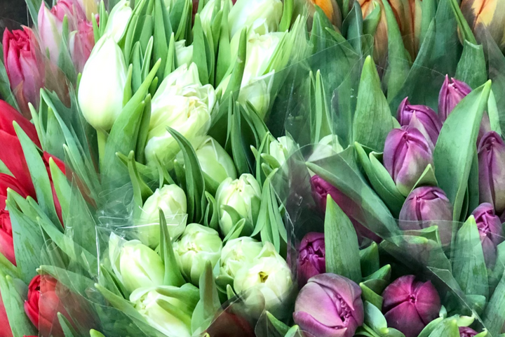 Products – Madison Flower Shop