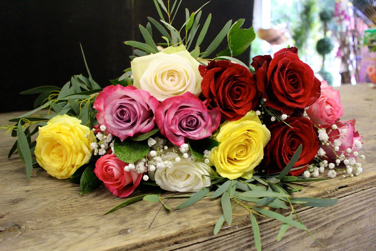 Roses – Madison Flower Shop